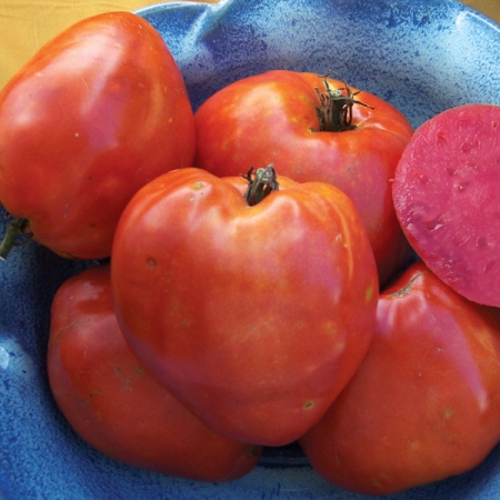 TOMATO GERMAN RED STRAWBERRY | Heritage & Heirloom Tomato Seeds