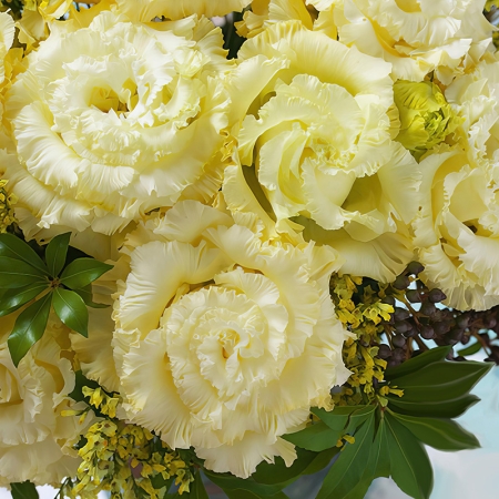 EUSTOMA CORELLI SUGOI YELLOW III SEEDS | A-Z
