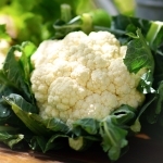 CAULIFLOWER SPROUTING FIORETTO SEEDS | New & Featured Vegetables