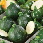 Plants of Distinction